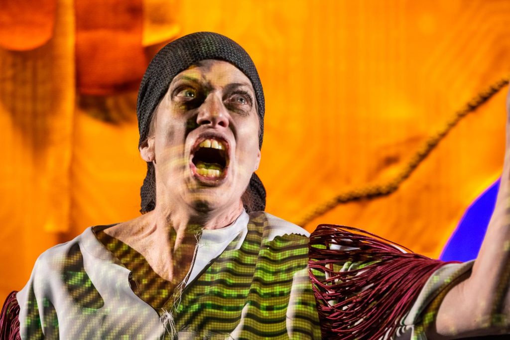 "Sycorax, Cyber Queen of Qamara": A Conversation with Joan Kane and ...